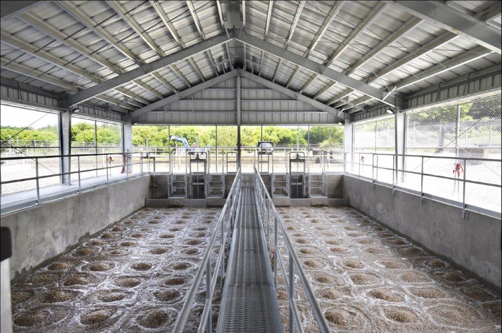 EIC Award Winners - 2024